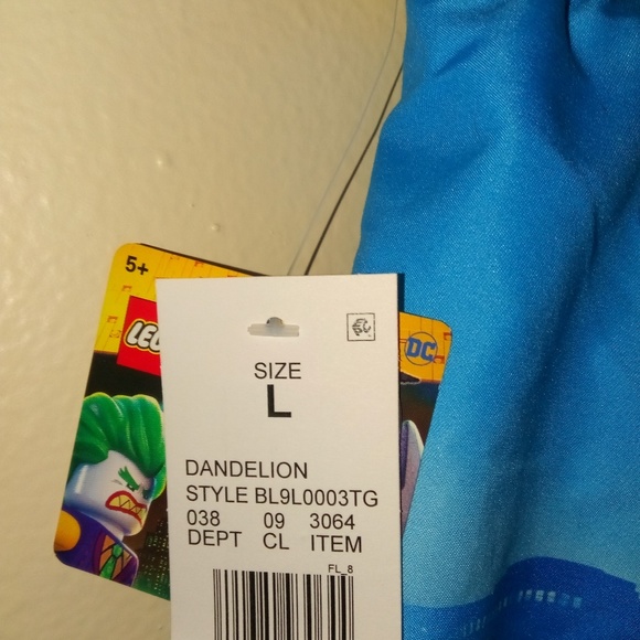 Lego | Swim | Lego Batman Robin Joker Bane Riddler Swim Shorts | Poshmark